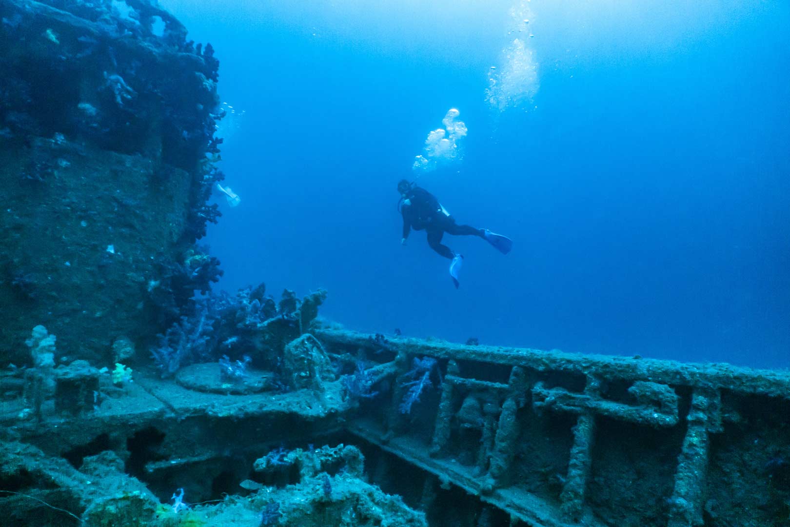 Splash Dive – 스플래시 다이빙 리조트 jeju scuba diving