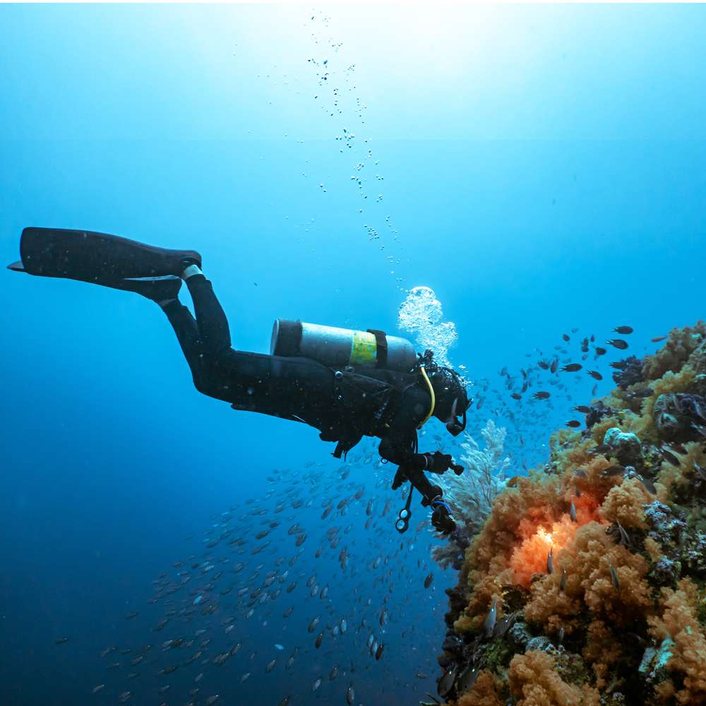 온라인상점 – Splash Dive